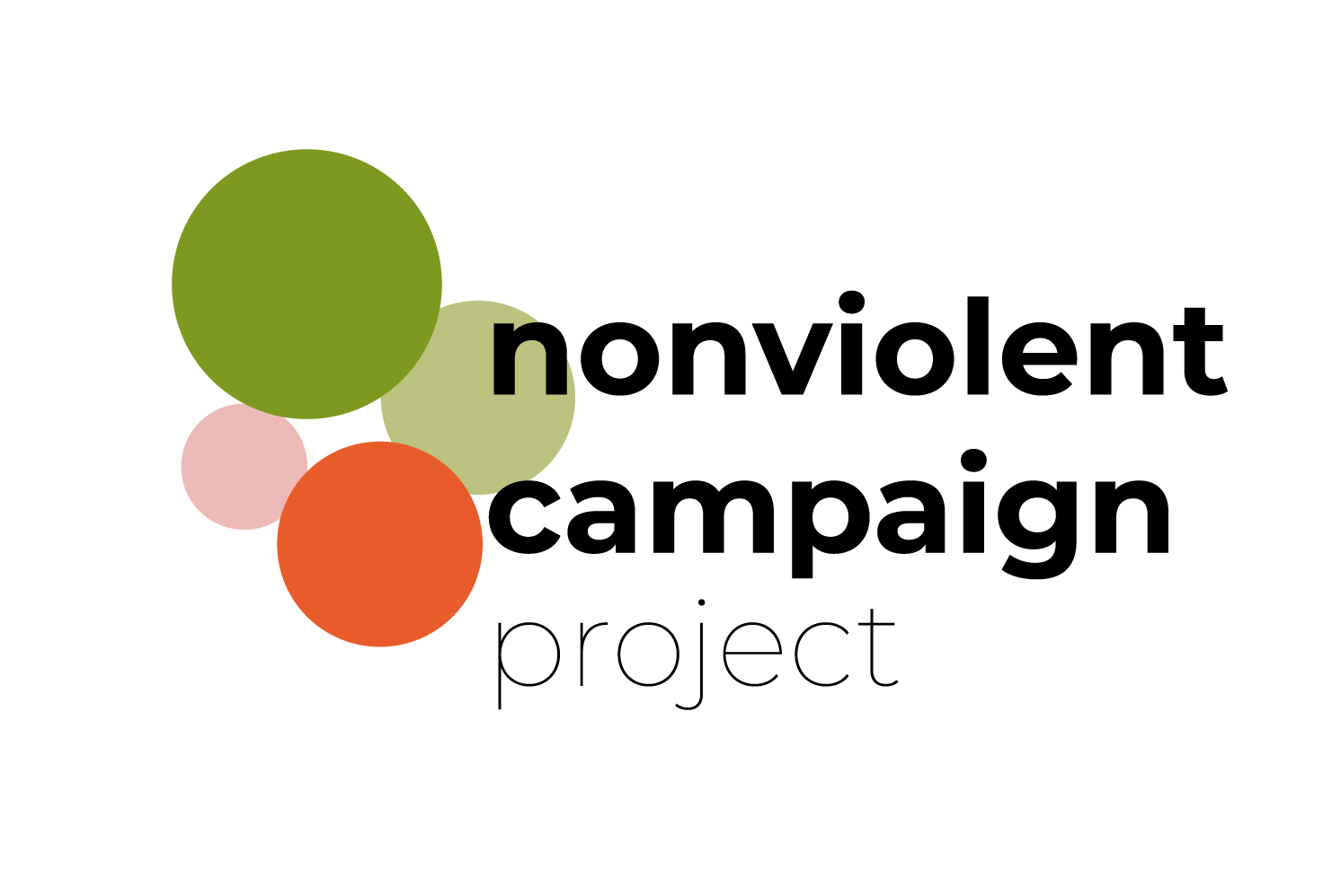 Nonviolent Campaign Project Completed! - Şiddetsizlik Merkezi